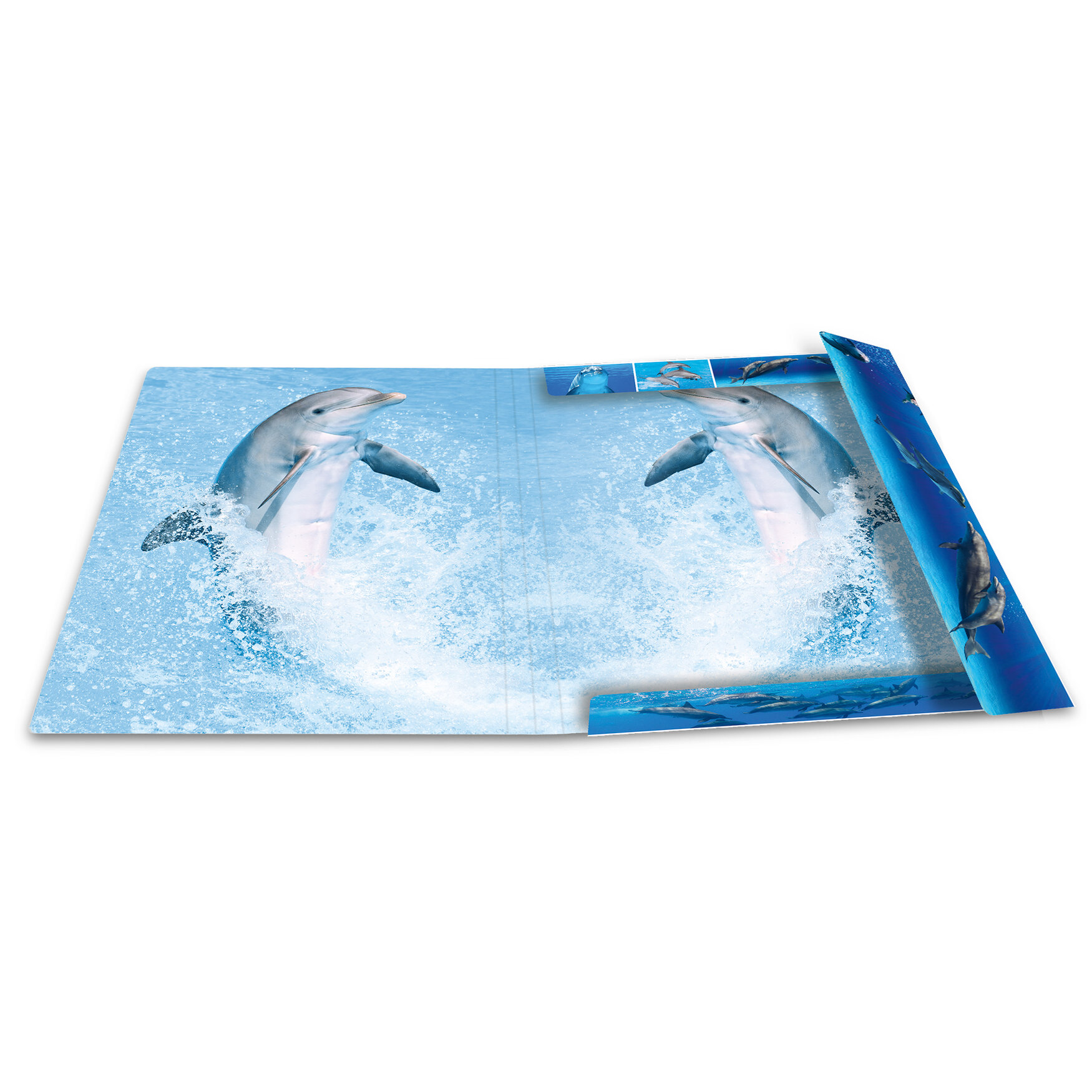 Elasticated folder A3 cardboard dolphins
