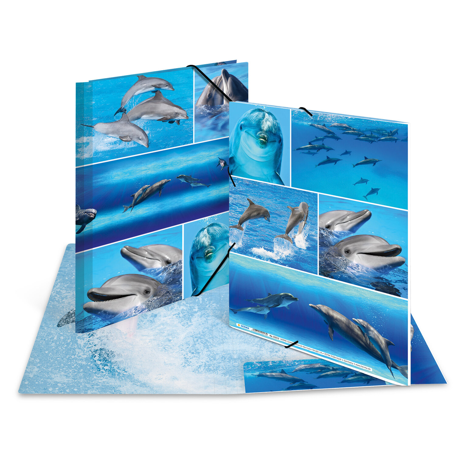 Elasticated folder A4 cardboard dolphins 19213