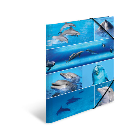 Elasticated folder A3 cardboard dolphins