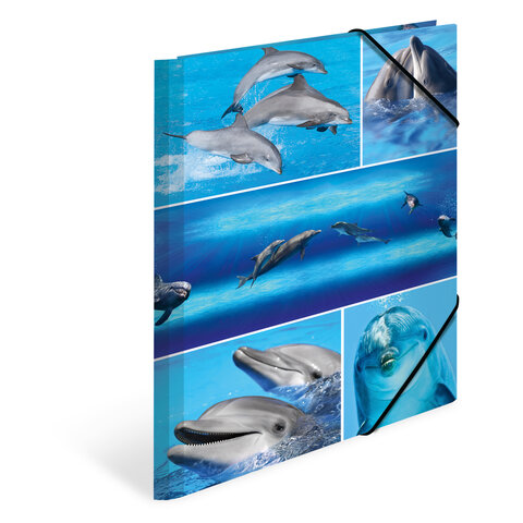 Elasticated folder A4 cardboard dolphins 19213